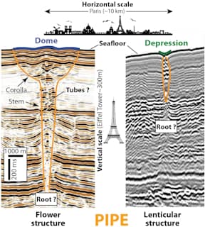 How to… interpret faults in Petrel – AurelienG